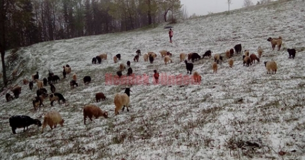 BAHARI BEKLERKEN KAR YAĞDI